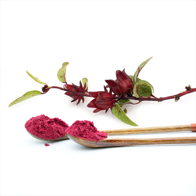 Plant Extract, Herbal Extract, Dry Extract Powder, Natural Ingredient ...